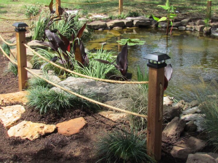 6 Ways To Make Your Pond Safer For Children - How To Succeed 2025